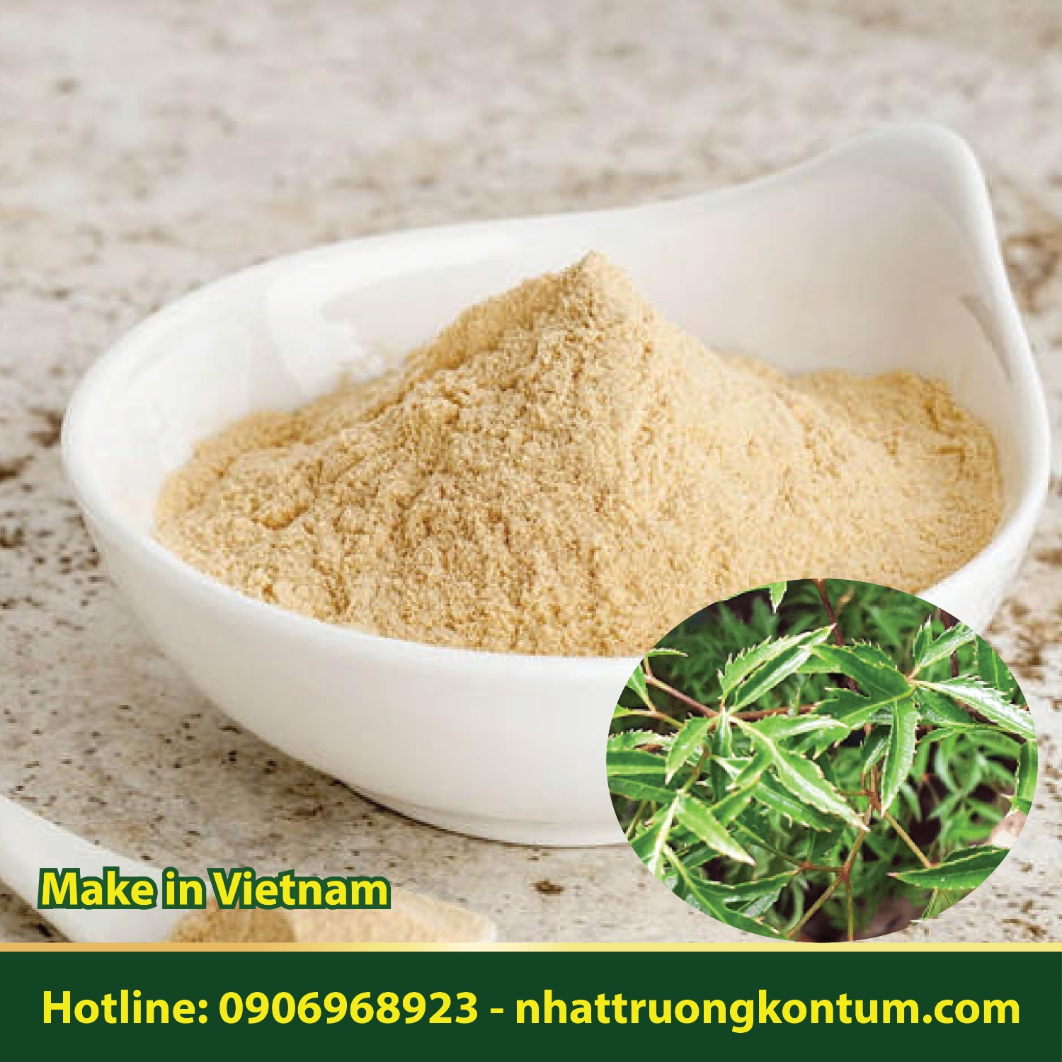 Bột rễ Đinh Lăng Tây Nguyên khô (100% Rễ) - Polyscias fruticosa powder ...